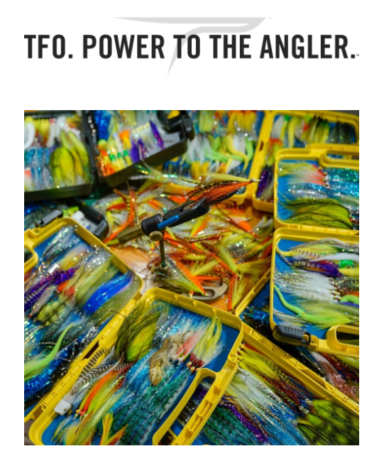 Part VI: The Basics of Flies for the Beginner – Temple Fork Outfitters ...