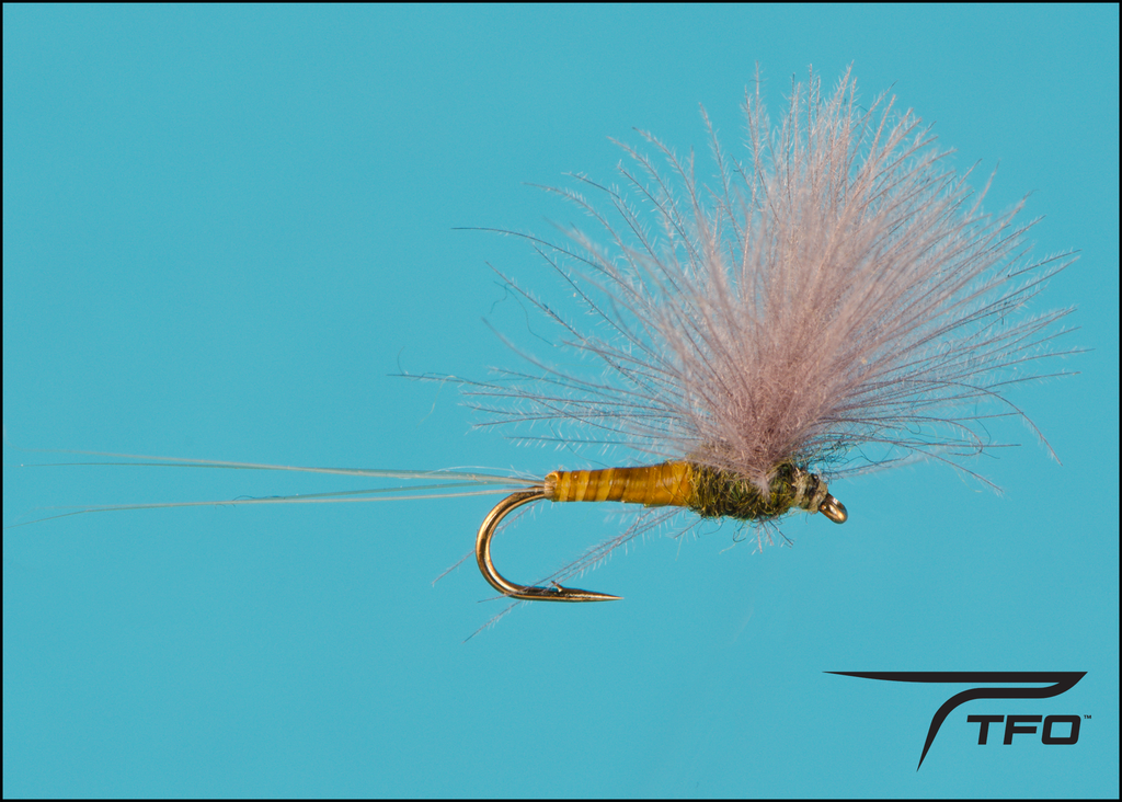 CDC Comparadun B.W.O. | Flies | Temple Fork Outfitters – Temple Fork ...