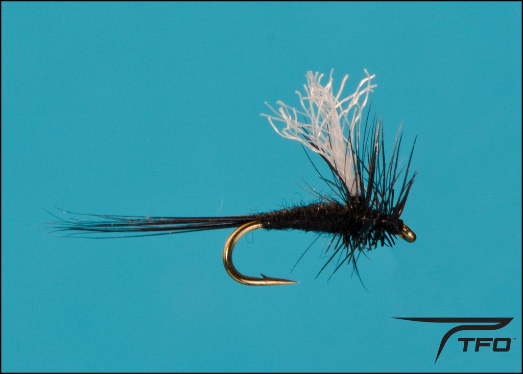 Thorax Trico, Male | Flies | Temple Fork Outfitters – Temple Fork ...
